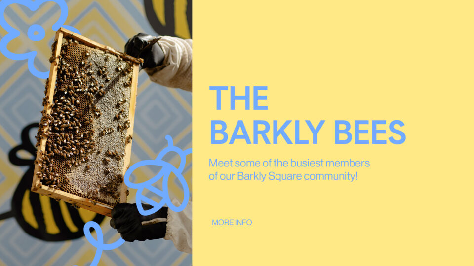 Shopping Centre | Barkly Square